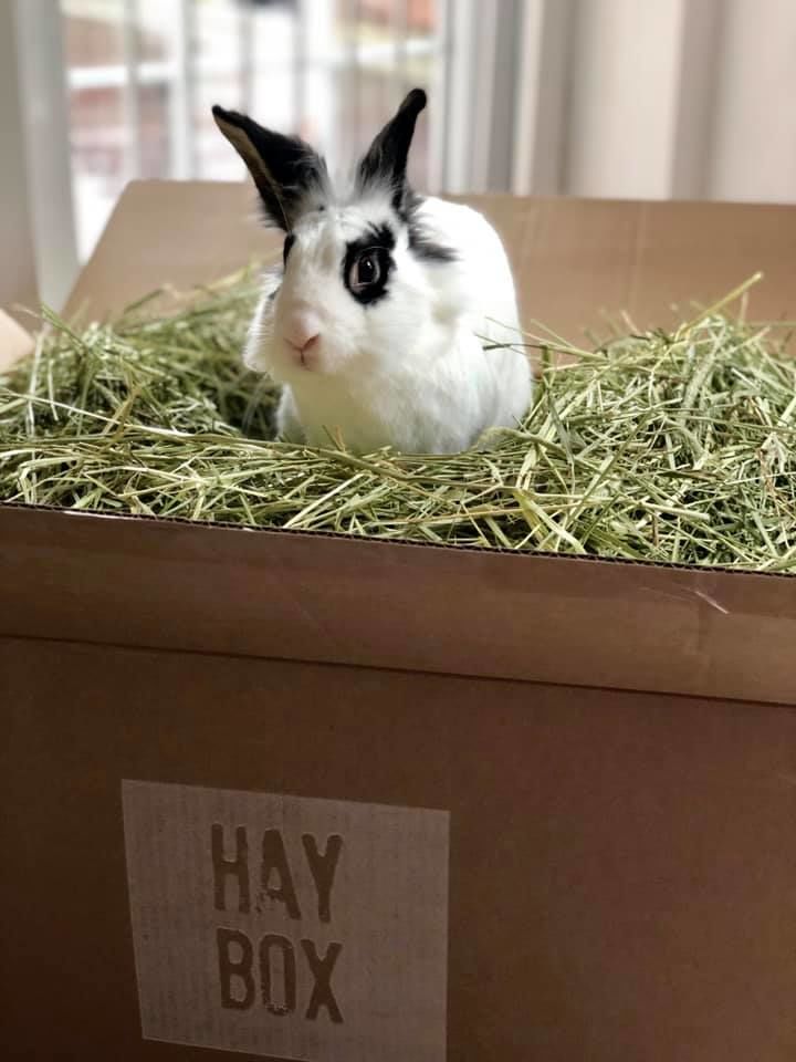 HayBox EU - Farm Fresh Hay Delivered to Your Door