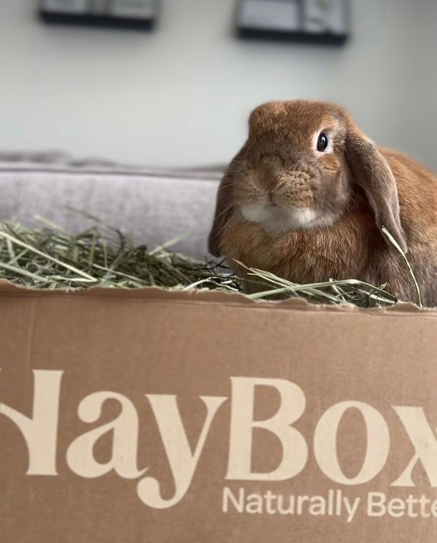 HayBox EU - Farm Fresh Hay Delivered to Your Door